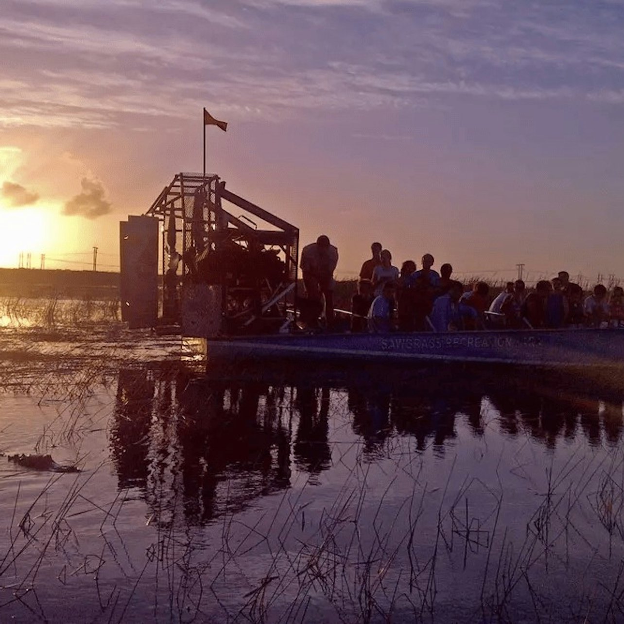 Fort Lauderdale: Gator Nights 60-Min Everglades Airboat Adventure ...